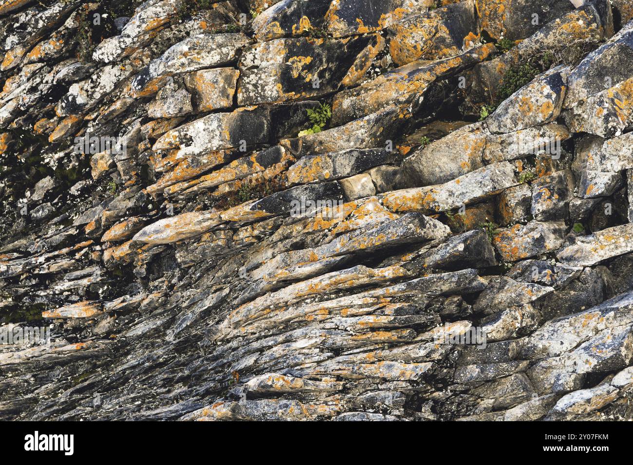 Textured basalt background hexagonal stone pillars in a section ...
