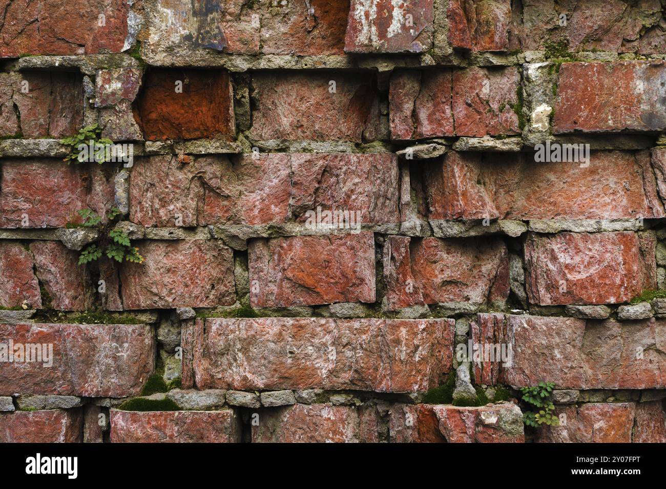 Grunge background Old brick wall weathered and falling apart. The ...