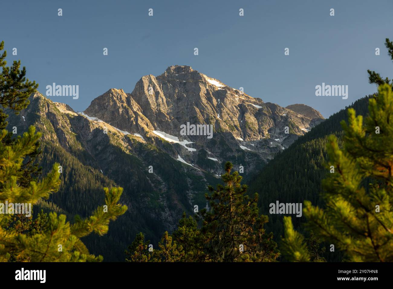 Pine Trees Frame Colonial Peak High Above in the North Cascades Stock ...