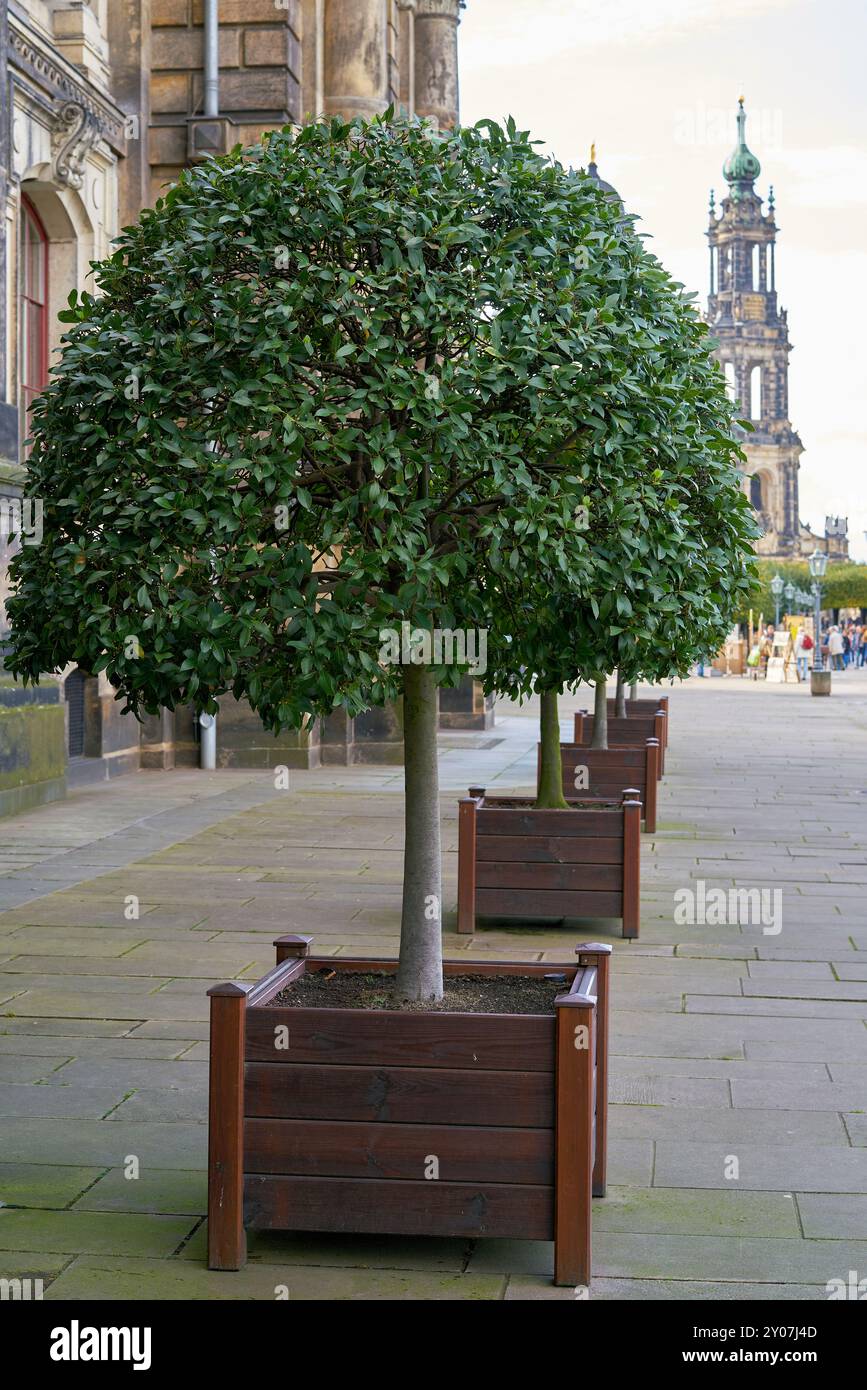 Laurel station hi-res stock photography and images - Alamy