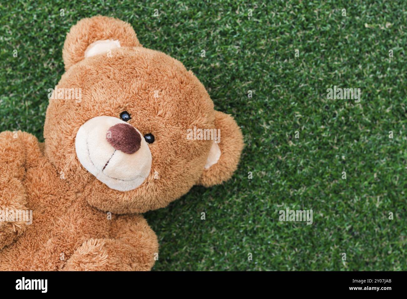 Cute teddy bear on green grass background Stock Photo - Alamy