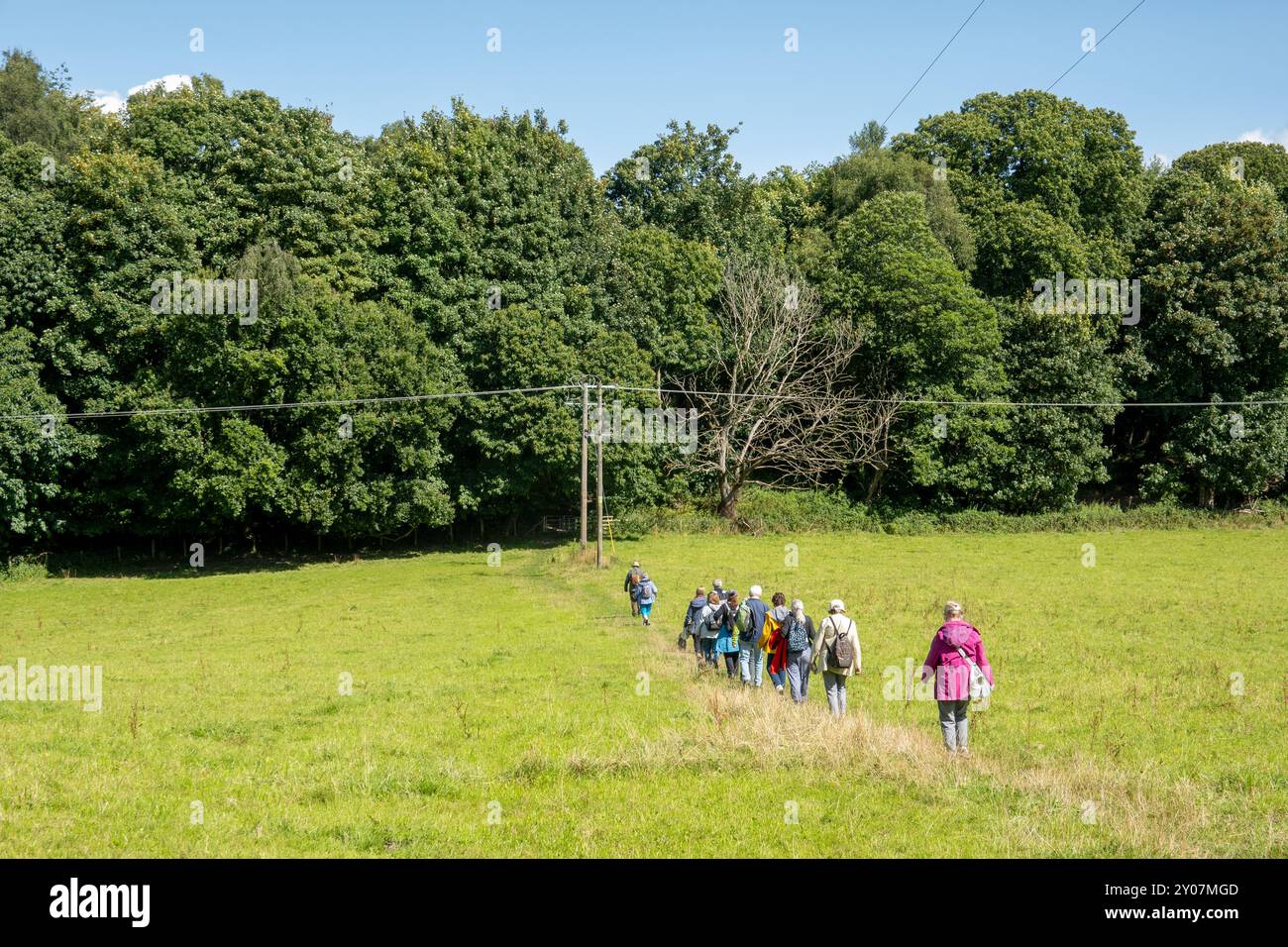 Footpath at Chirk Castle Stock Photo - Alamy