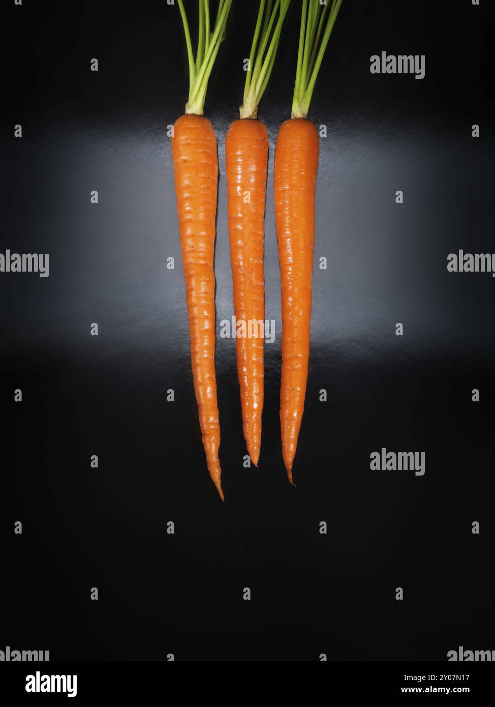 Artistic conceptual food still life of three orange carrots isolated on ...