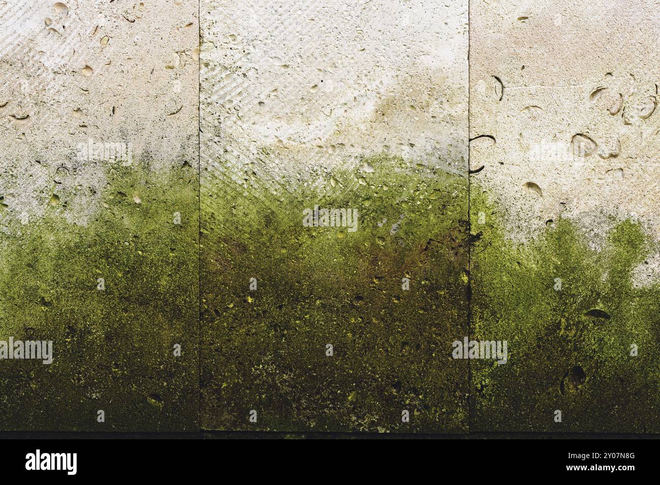 Textured background vertical facing tiles from shell stone with traces ...