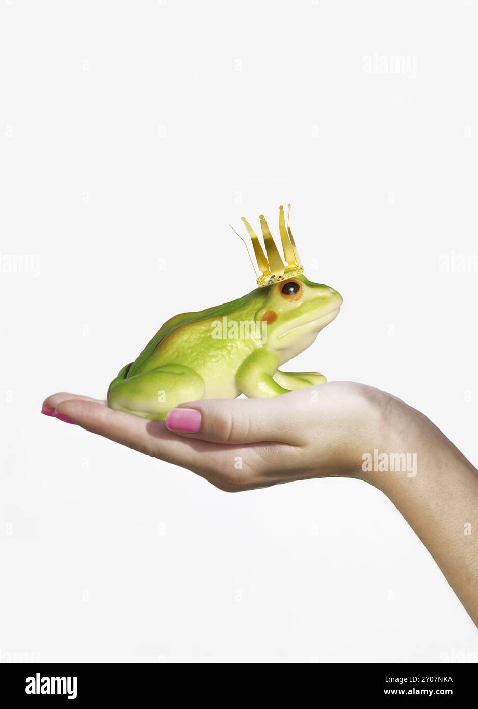 The Frog Prince on the Hand Stock Photo - Alamy