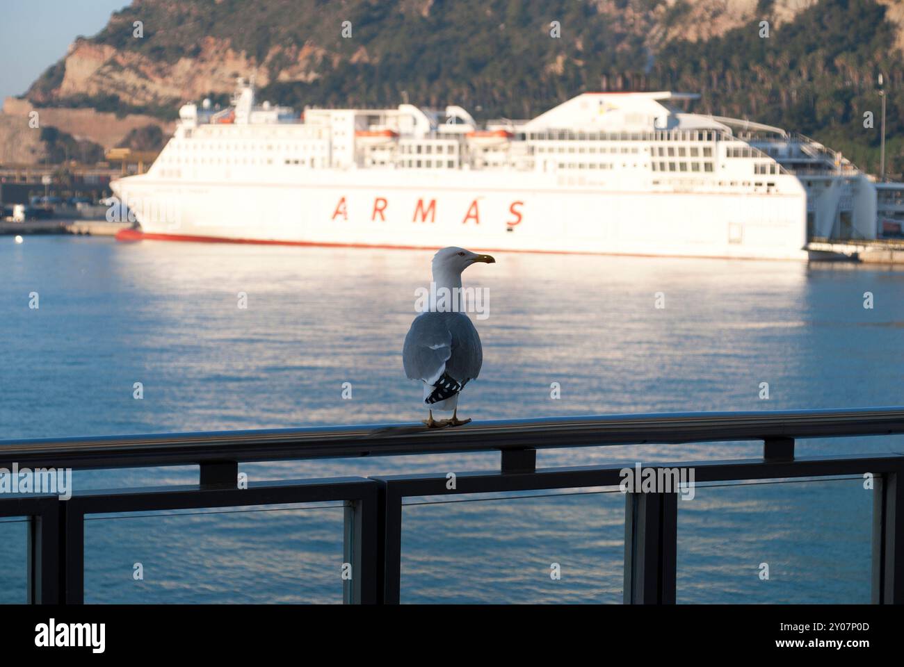 Seagull on the railing of the World Trade Center building in the port ...