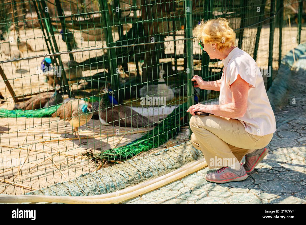 Senior tourist woman on an excursion to the zoo Stock Photo - Alamy