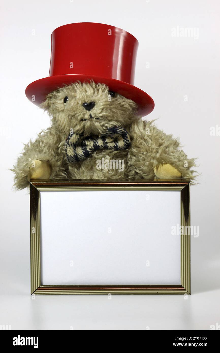 Teddy bear with picture frame Stock Photo - Alamy