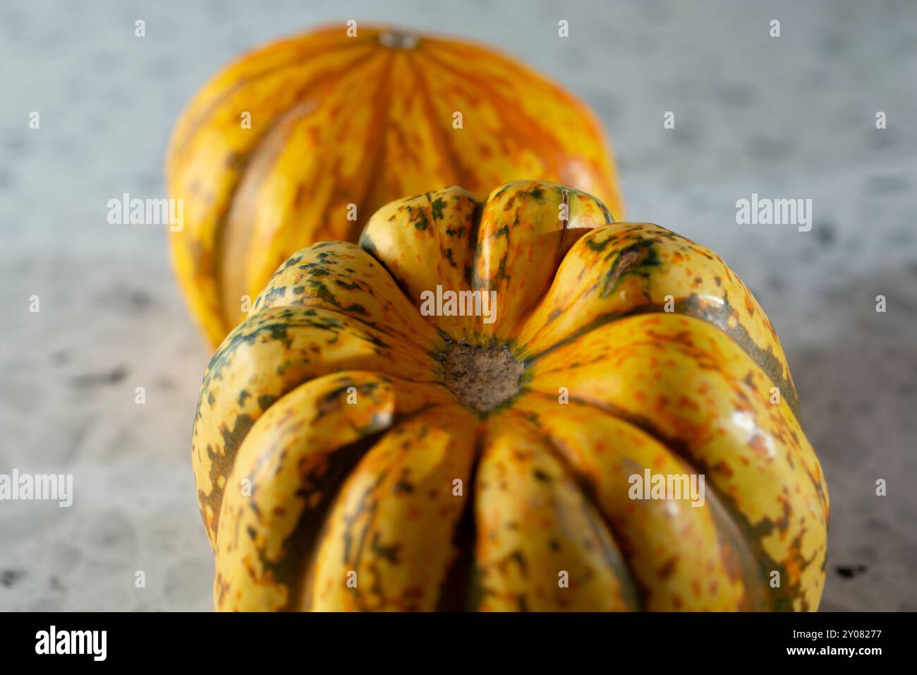 Bottom portion hi-res stock photography and images - Alamy