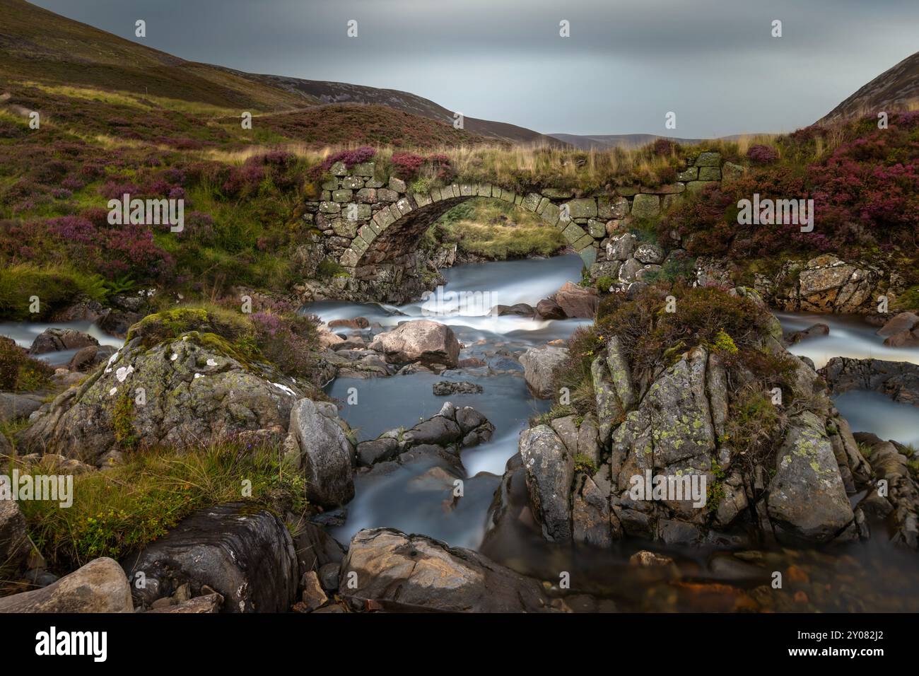 An old stone bridge across Clunie Water with heather in full bloom ...