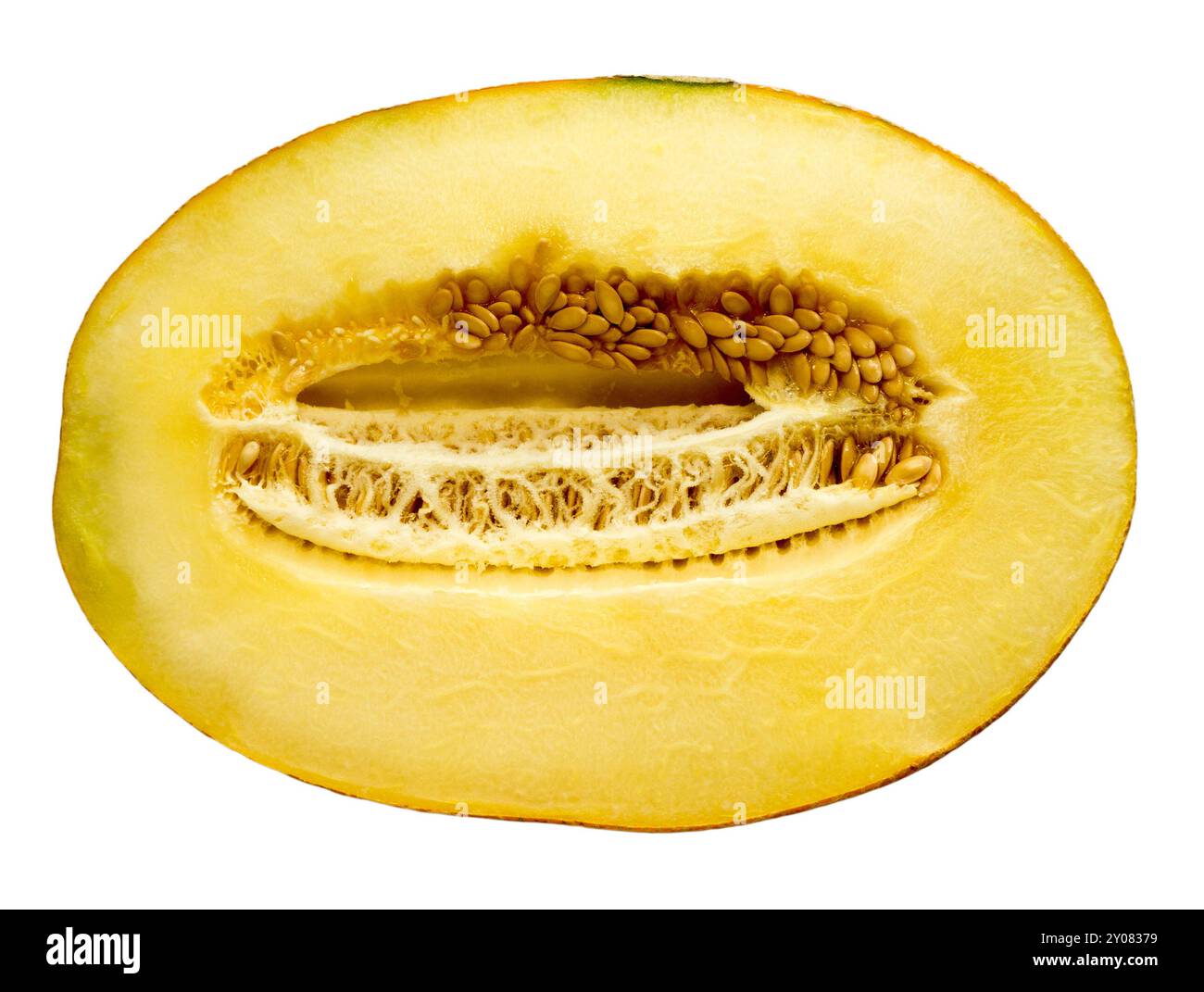 The natur vegetable Melon object Stock Photo - Alamy