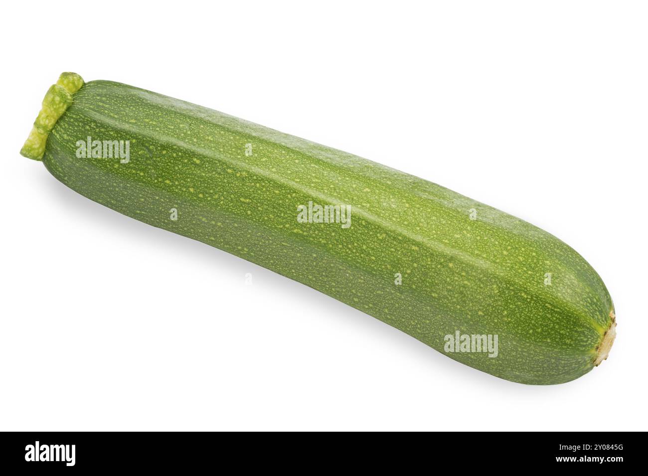 A ripe courgette on a white background Stock Photo - Alamy