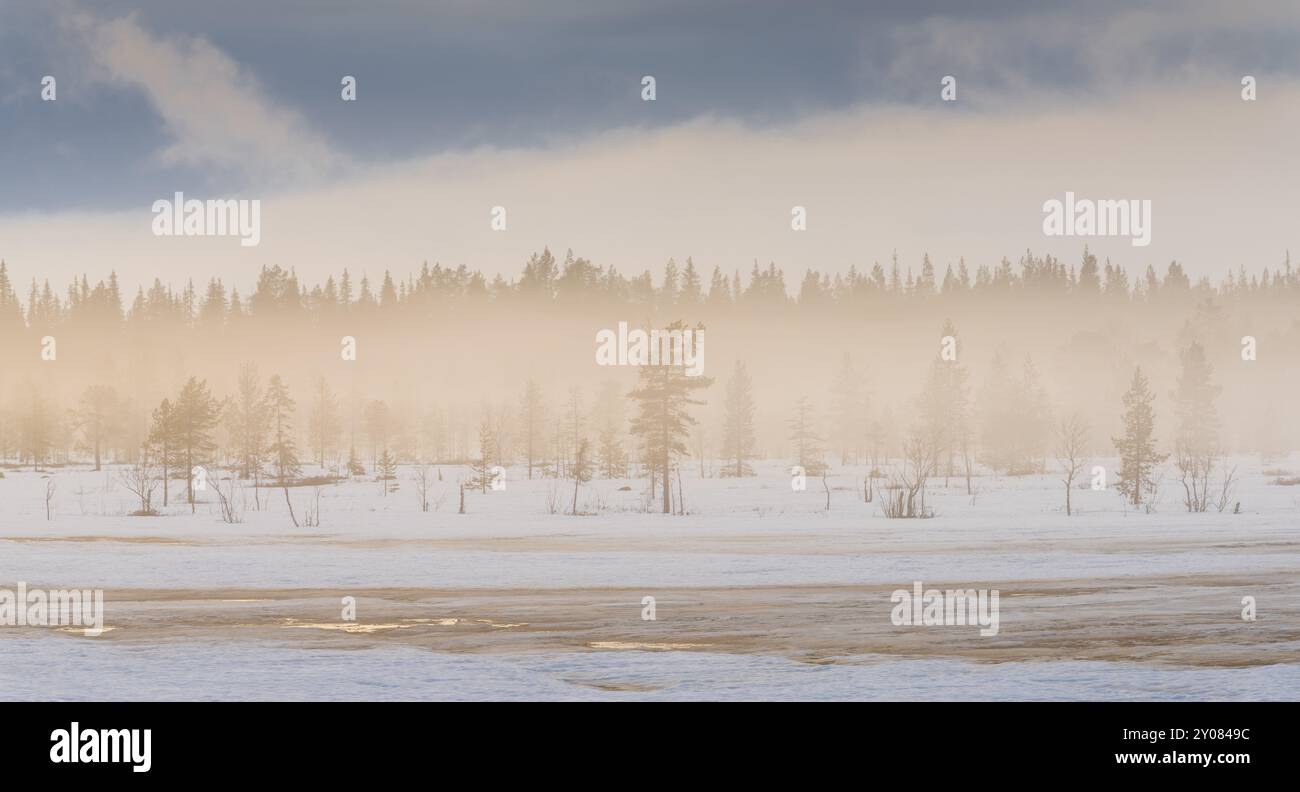 Moorlands in norrbotten hi-res stock photography and images - Alamy