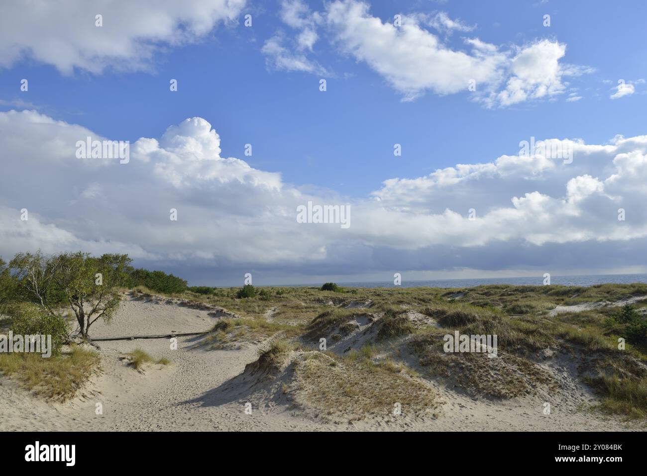 Sandhammaren is a Swedish coastal strip on the Baltic Sea. It is the ...