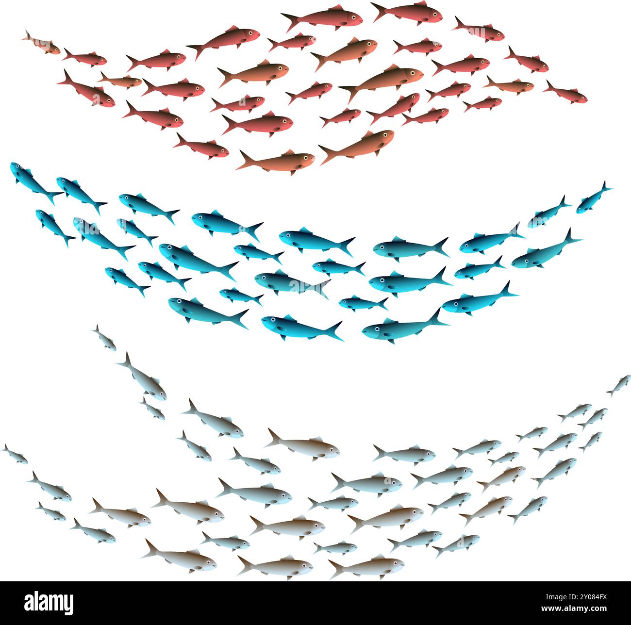 Colored shoal of fish emblems Stock Vector Image & Art - Alamy