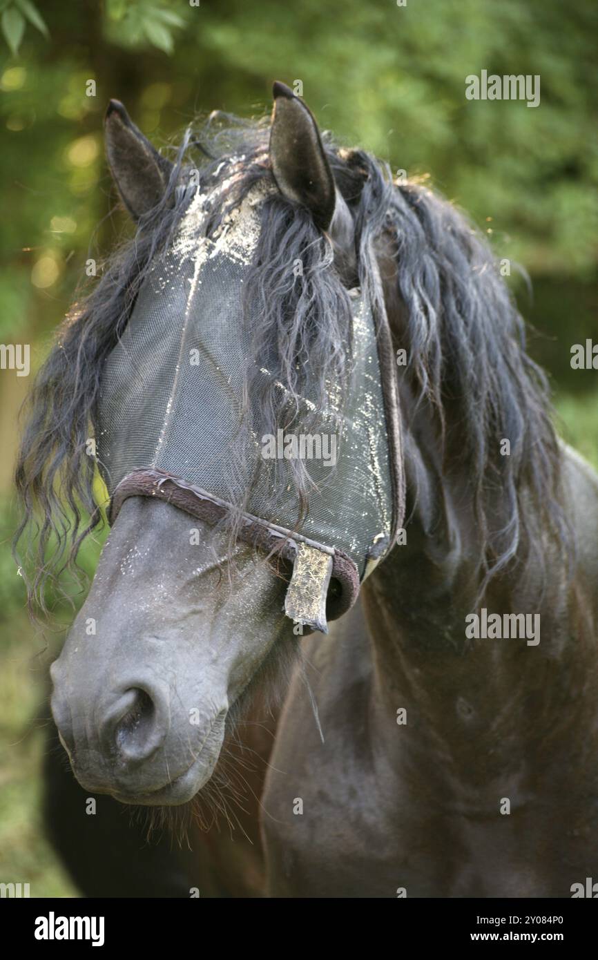 Detailed friezes hi-res stock photography and images - Alamy