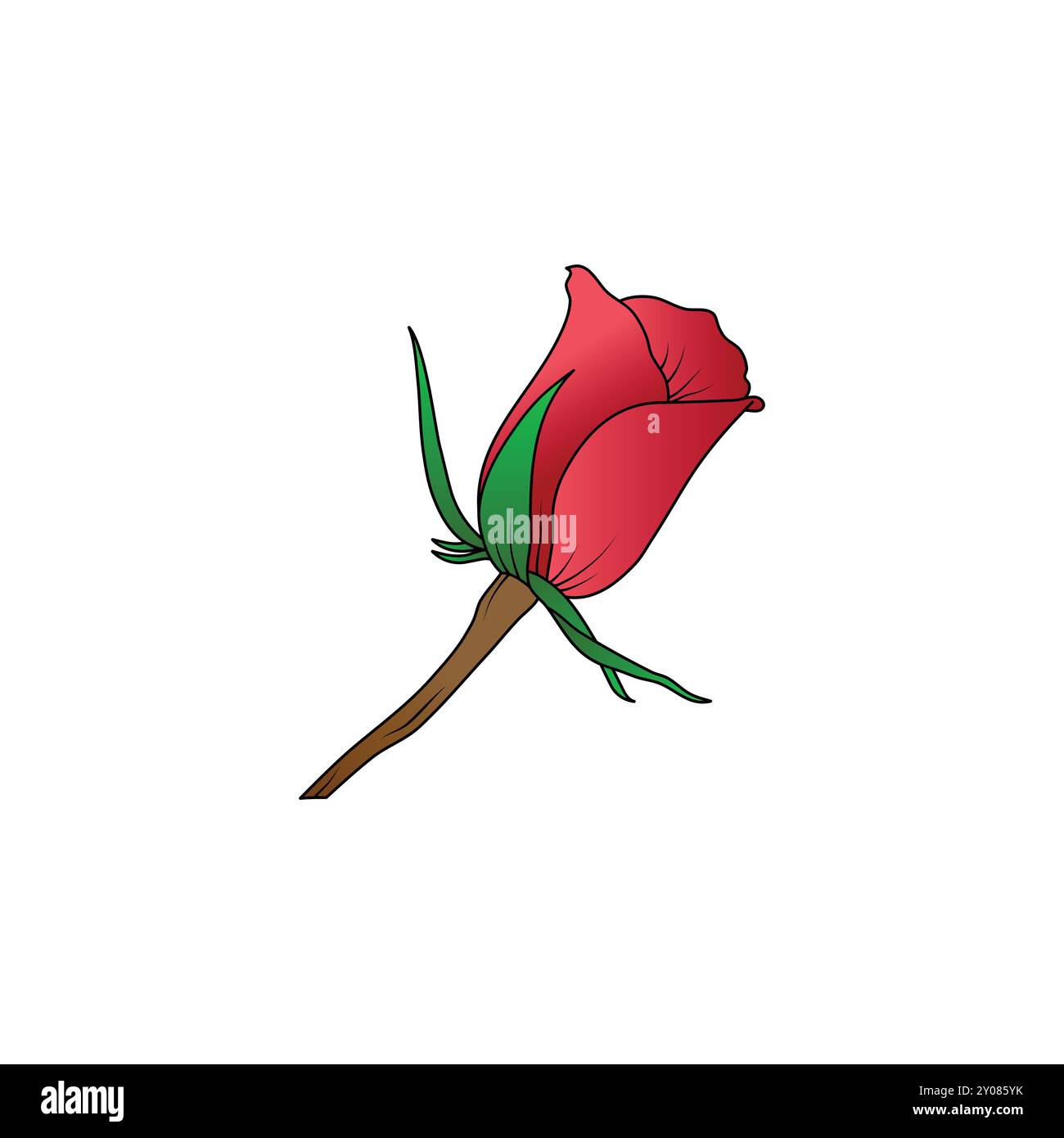 Red Rose Flower Illustration - Romantic and Elegant Floral Design Stock ...
