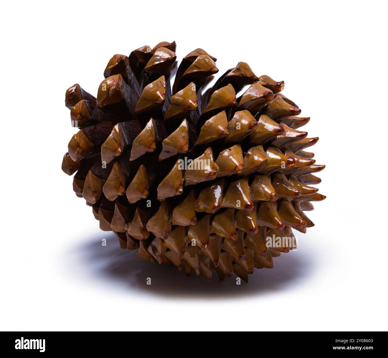 Cone cut out hi-res stock photography and images - Alamy