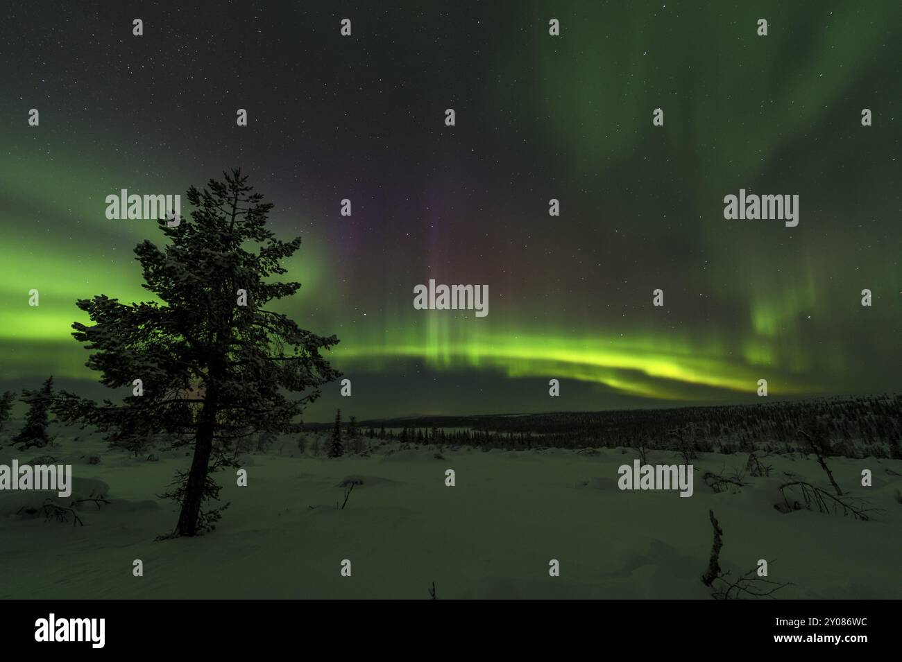 Northern Lights (Aurora borealis) over snowy landscape, Gaellivare ...