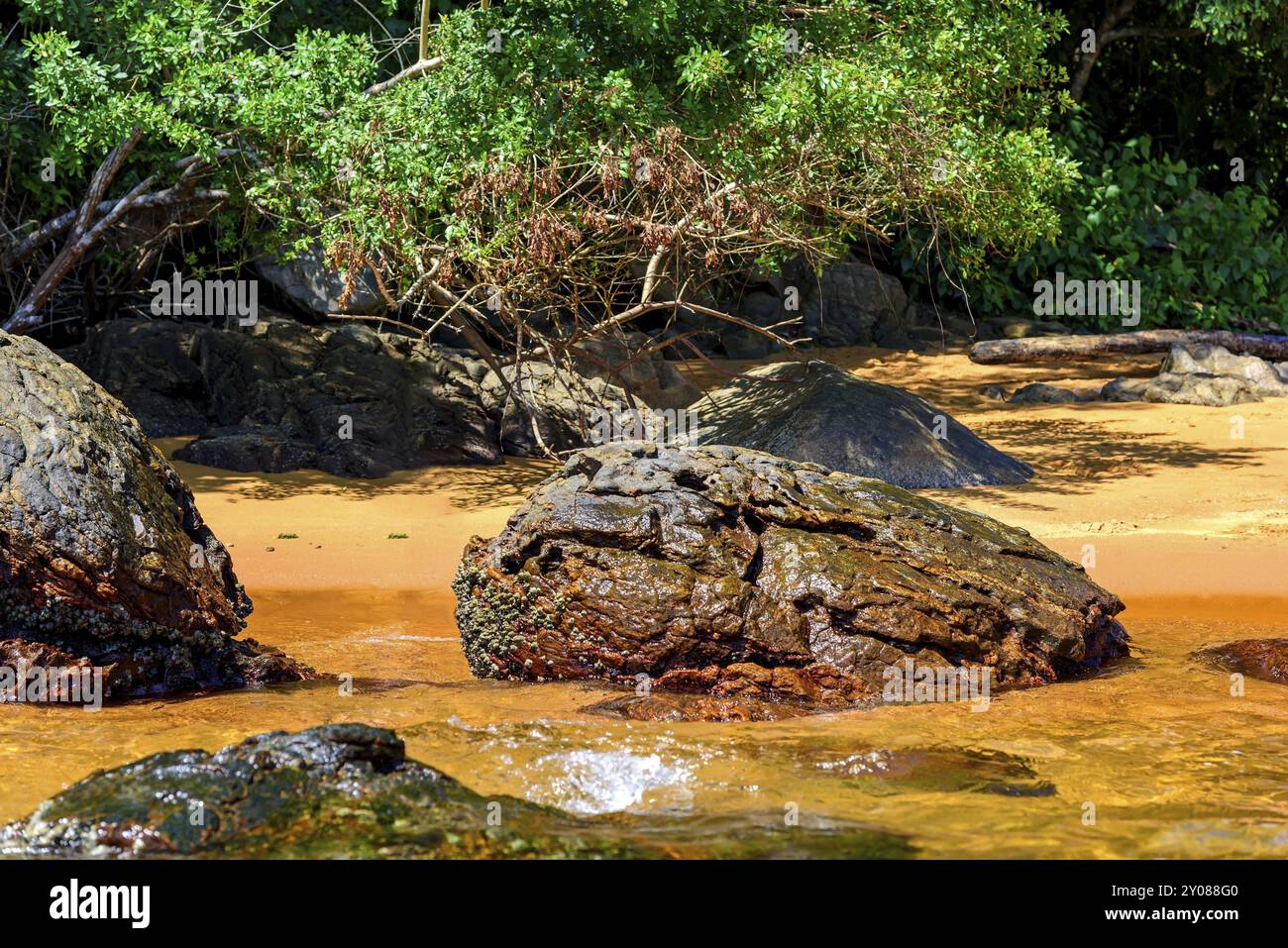 Meeting between the rain forest and the crystal-clear sea of the green ...