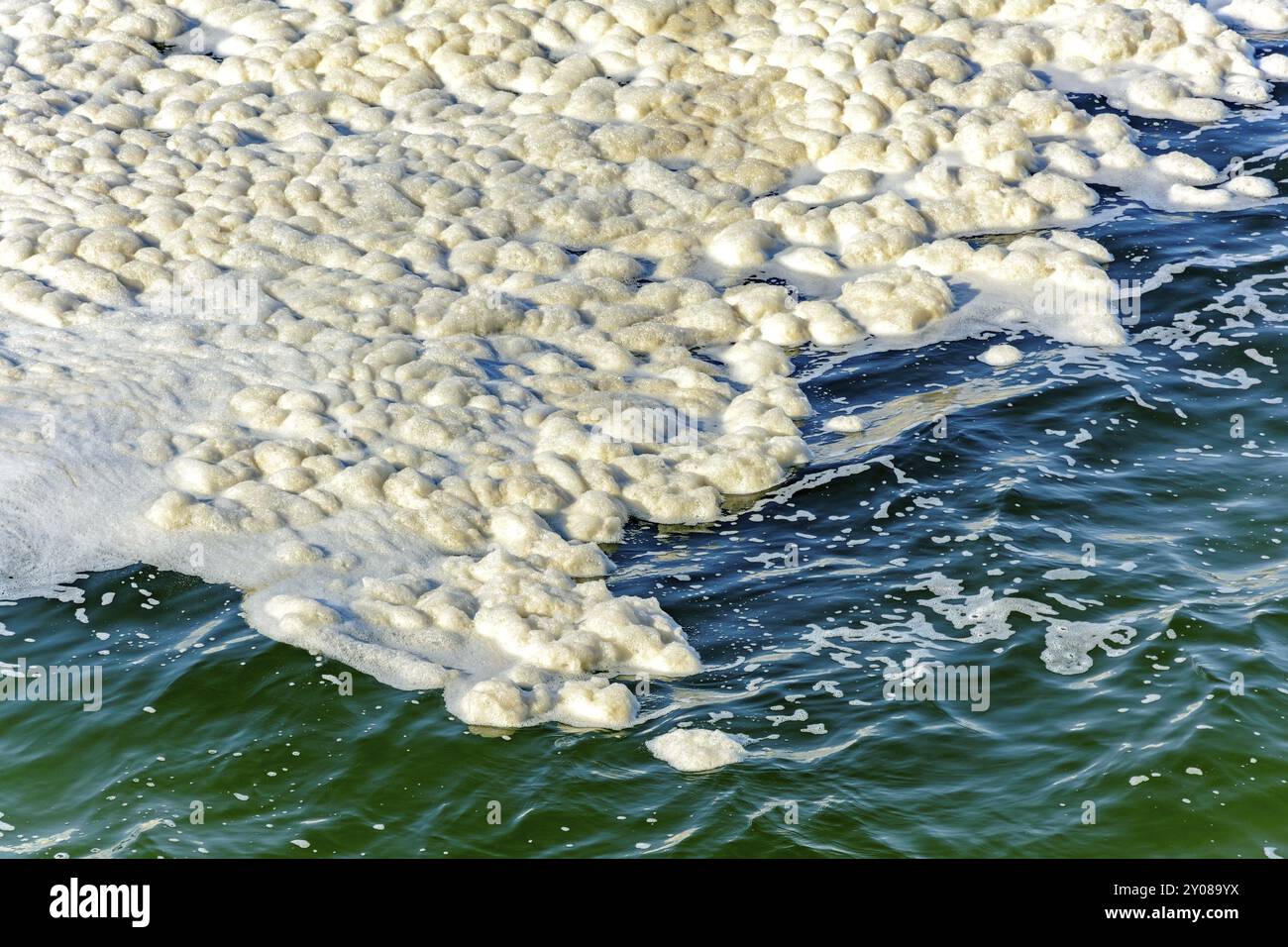 Dirty spot foamy pollution floating over the sea waters Stock Photo - Alamy