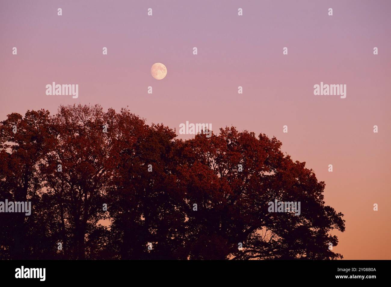 Full moon glory hi-res stock photography and images - Alamy