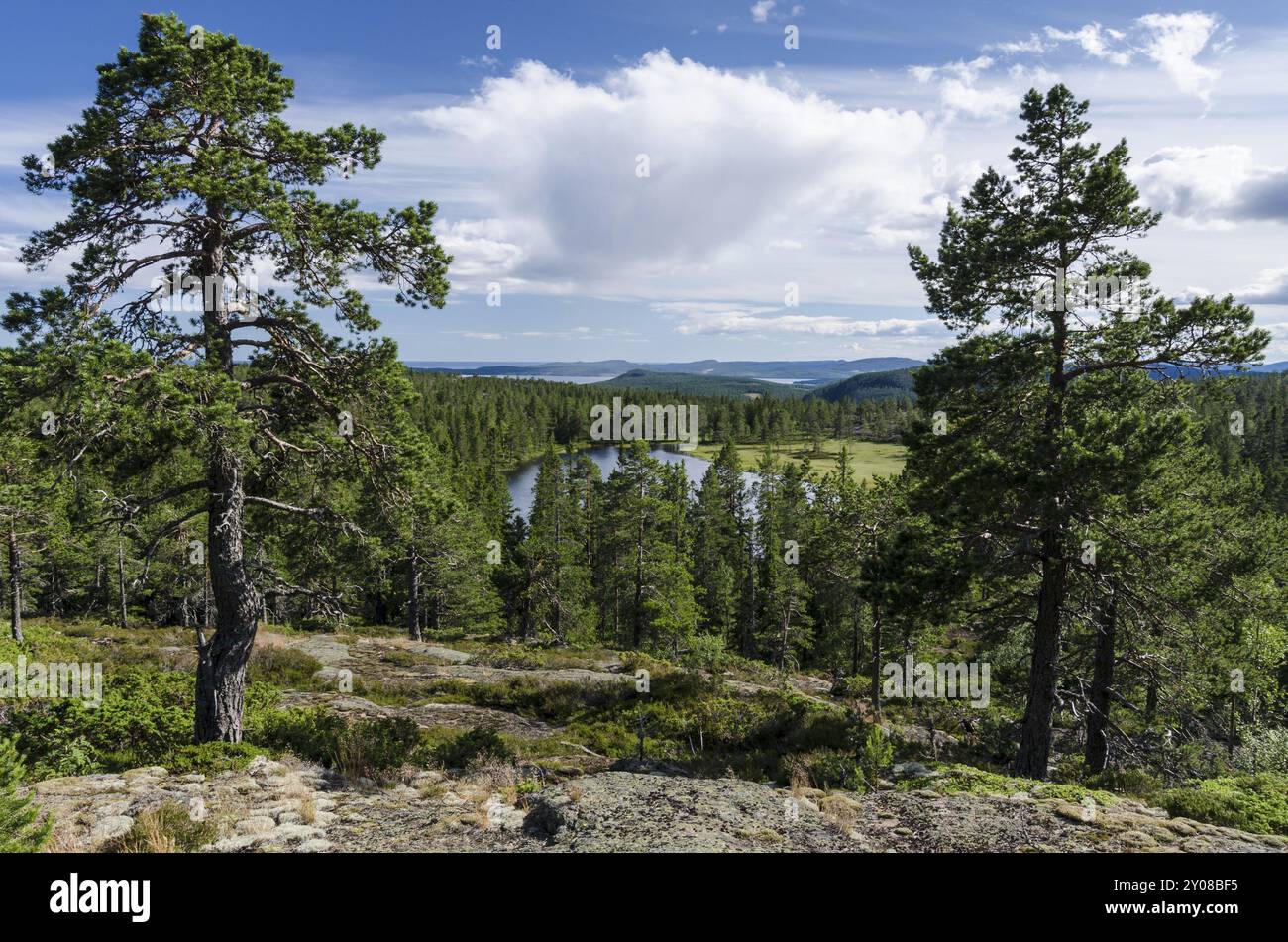 Landscape by the Gulf of Bothnia in Skuleskogen National Park, Hoega ...