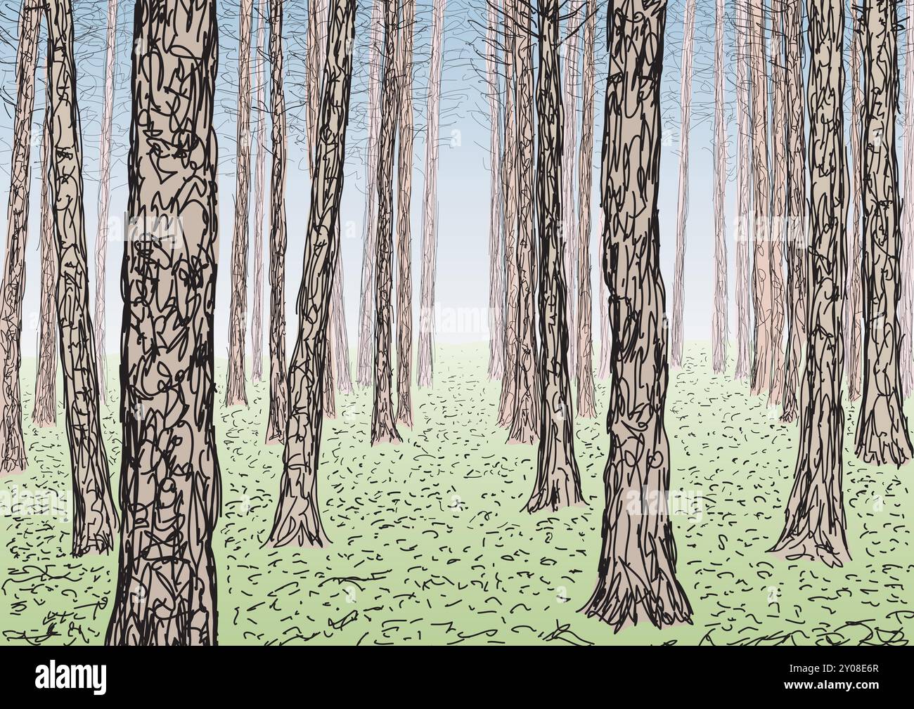 Drawing of a forest, tree trunks, vector illustration Stock Vector ...