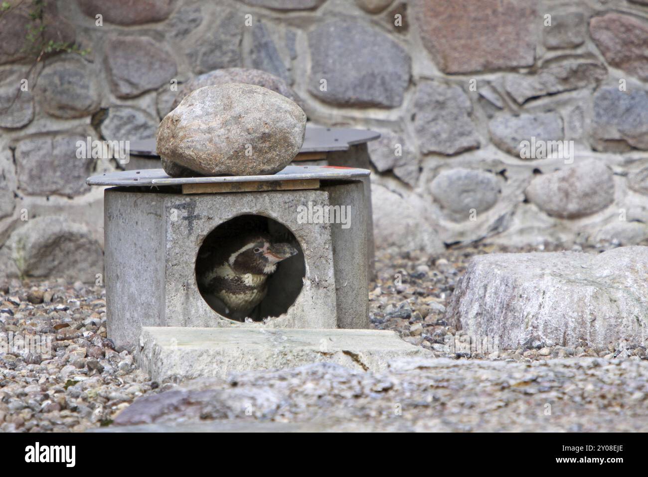 Breeding den hi-res stock photography and images - Alamy