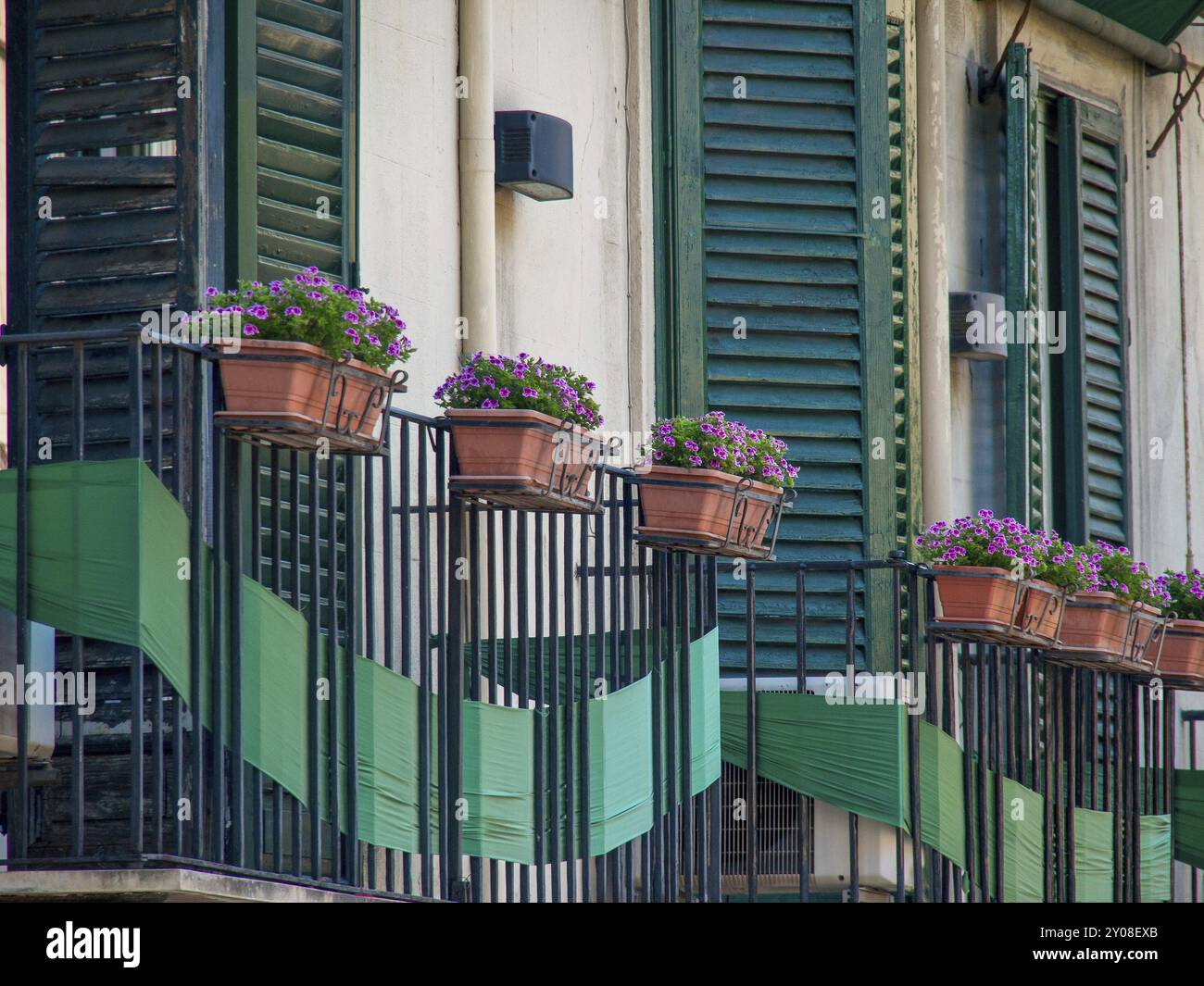 Urban balcony with green shutters, decorated with flowers in flower ...