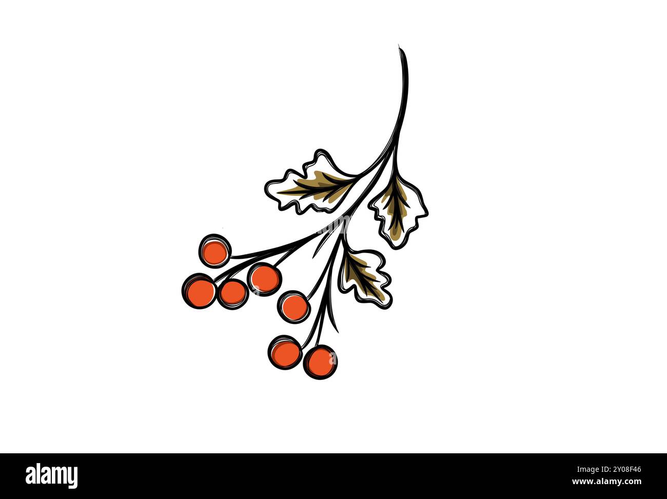 Berry branch sticker freehand autumn sticker template Stock Photo - Alamy