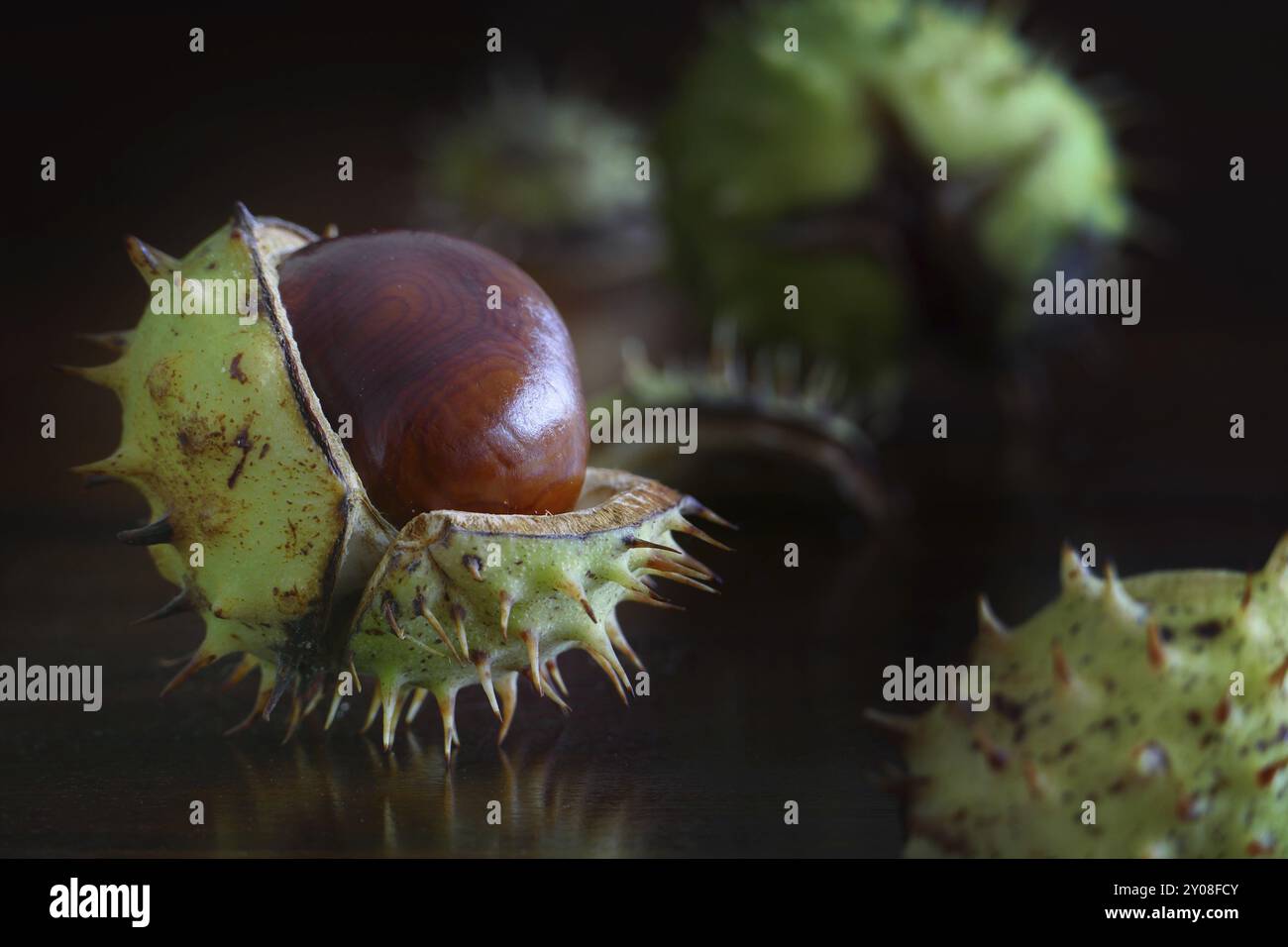 Chestnuts with broken shells on a dark brown table of wood Stock Photo ...