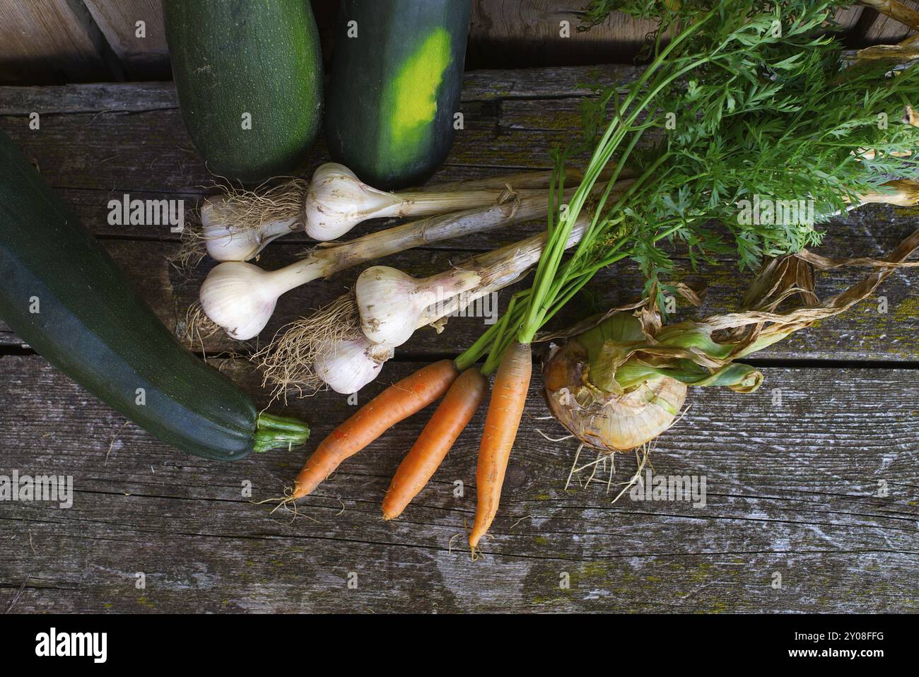 Assortment of freshly harvested healthy farm vegetables in a flat lay ...