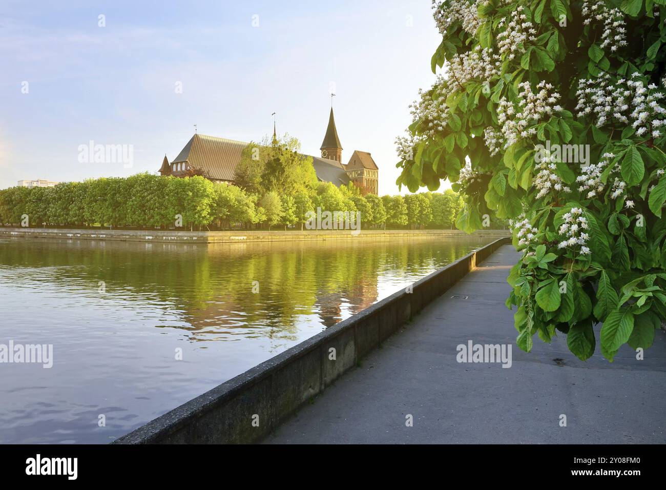 Konigsberg Cathedral on Kneiphof island. Gothic 14th century. Symbol of ...