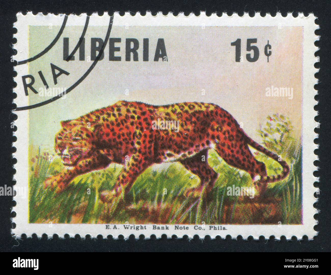 LIBERIA - CIRCA 1966: stamp printed by Liberia, shows Leopard, circa 1966 Stock Photo - Alamy