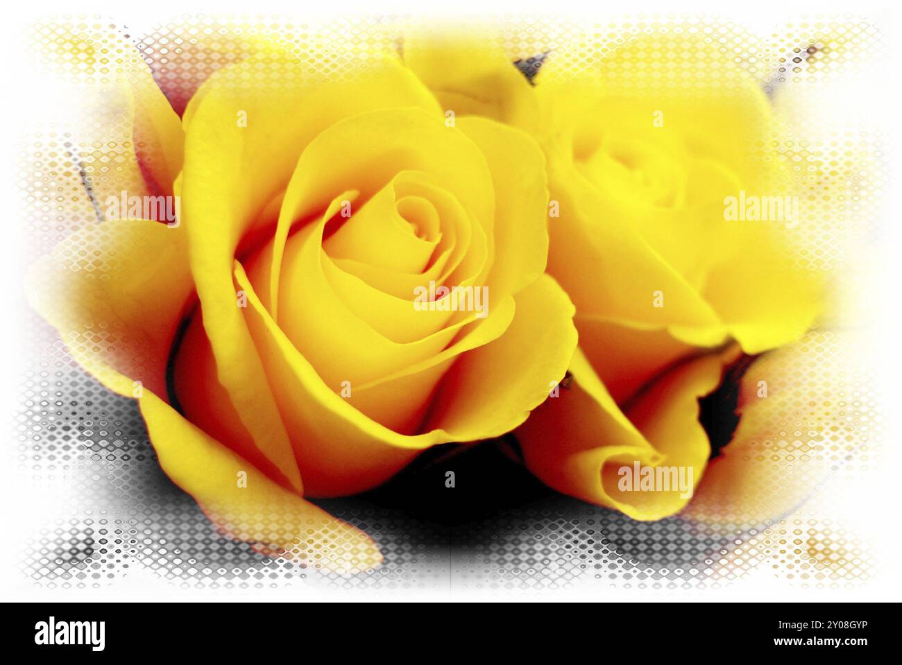 Florist designs Cut Out Stock Images & Pictures - Alamy