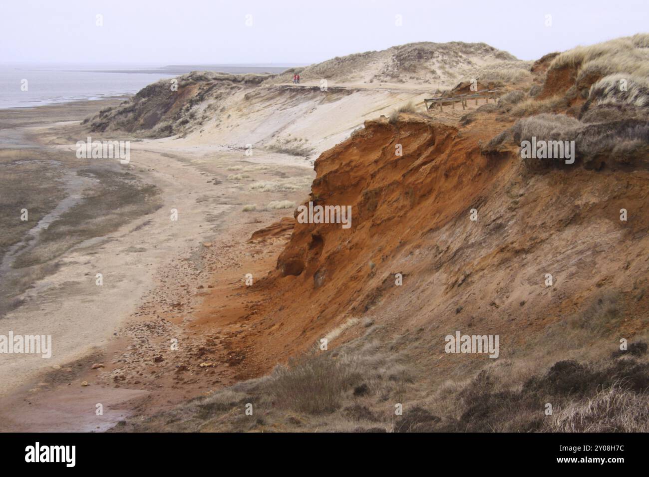 Morsum cliff on Sylt Stock Photo - Alamy