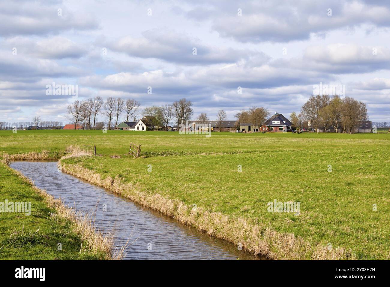 Typical dutch farmland with canal, Holland Stock Photo - Alamy