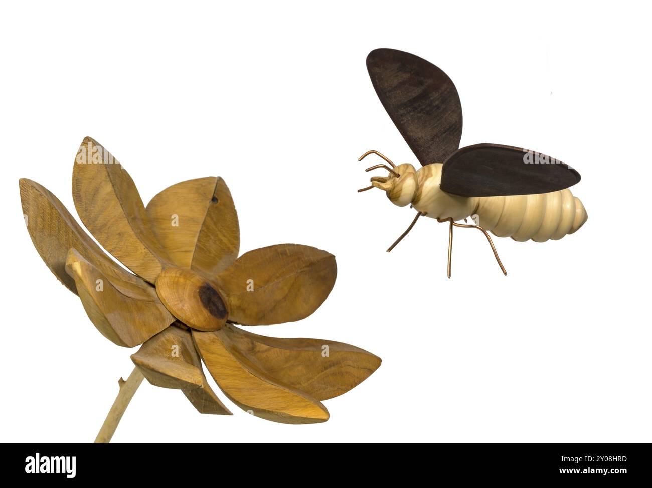 Bee fly on people Cut Out Stock Images & Pictures - Alamy