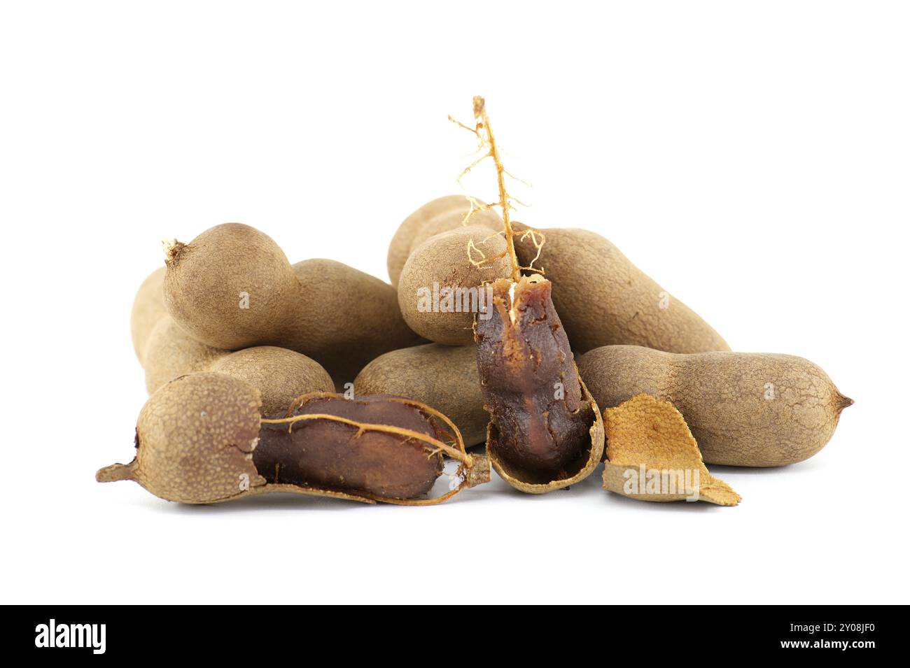 Tamarind fruits, whole and cracked open isolated on white background ...