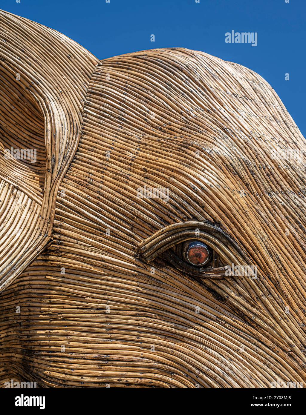 The Great Elephant Migration Stock Photo - Alamy