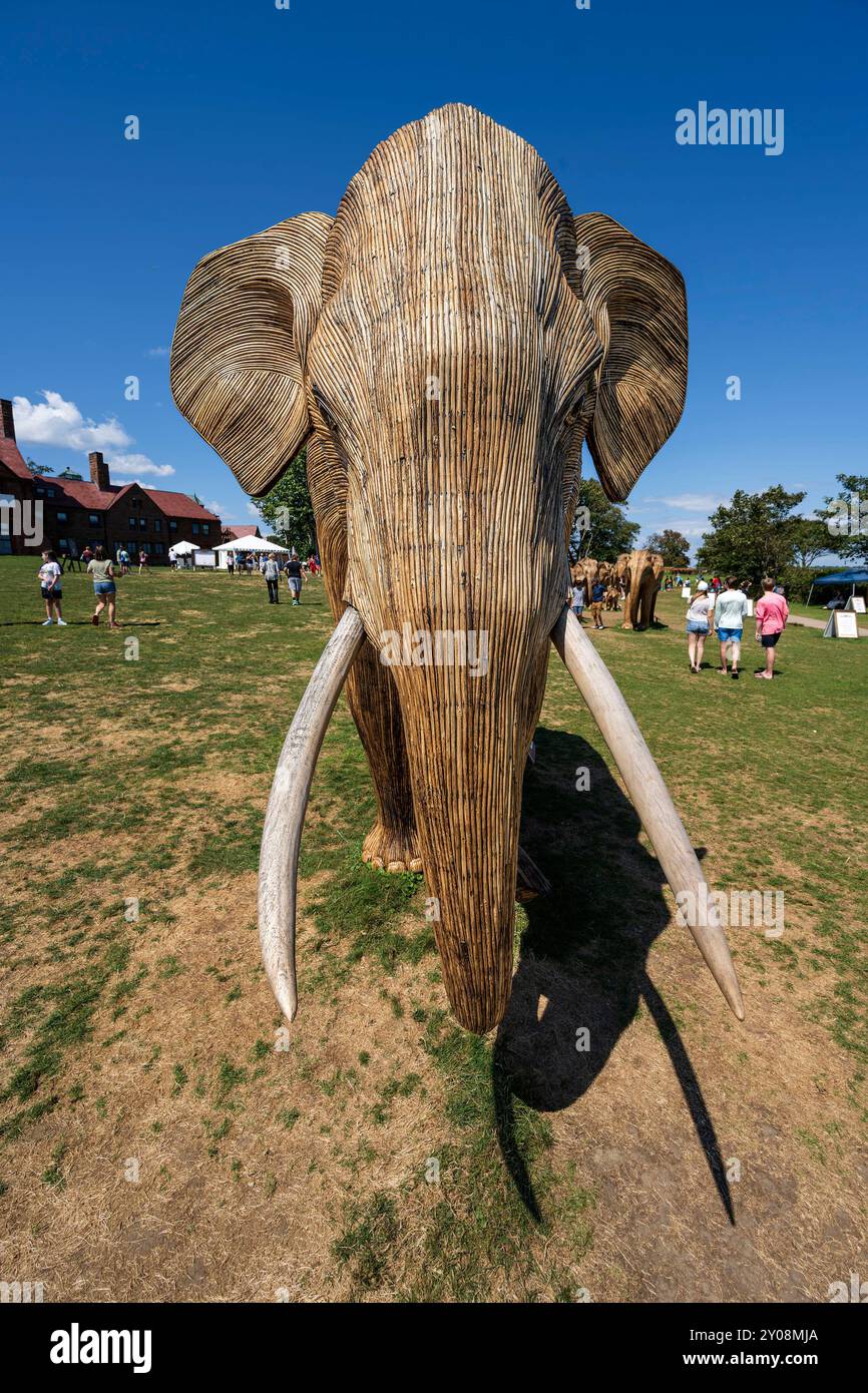 The Great Elephant Migration Stock Photo - Alamy