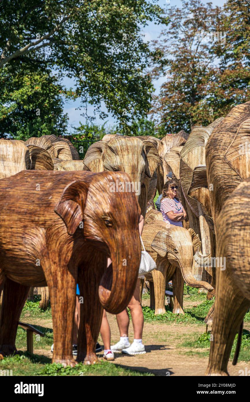 The Great Elephant Migration Stock Photo - Alamy