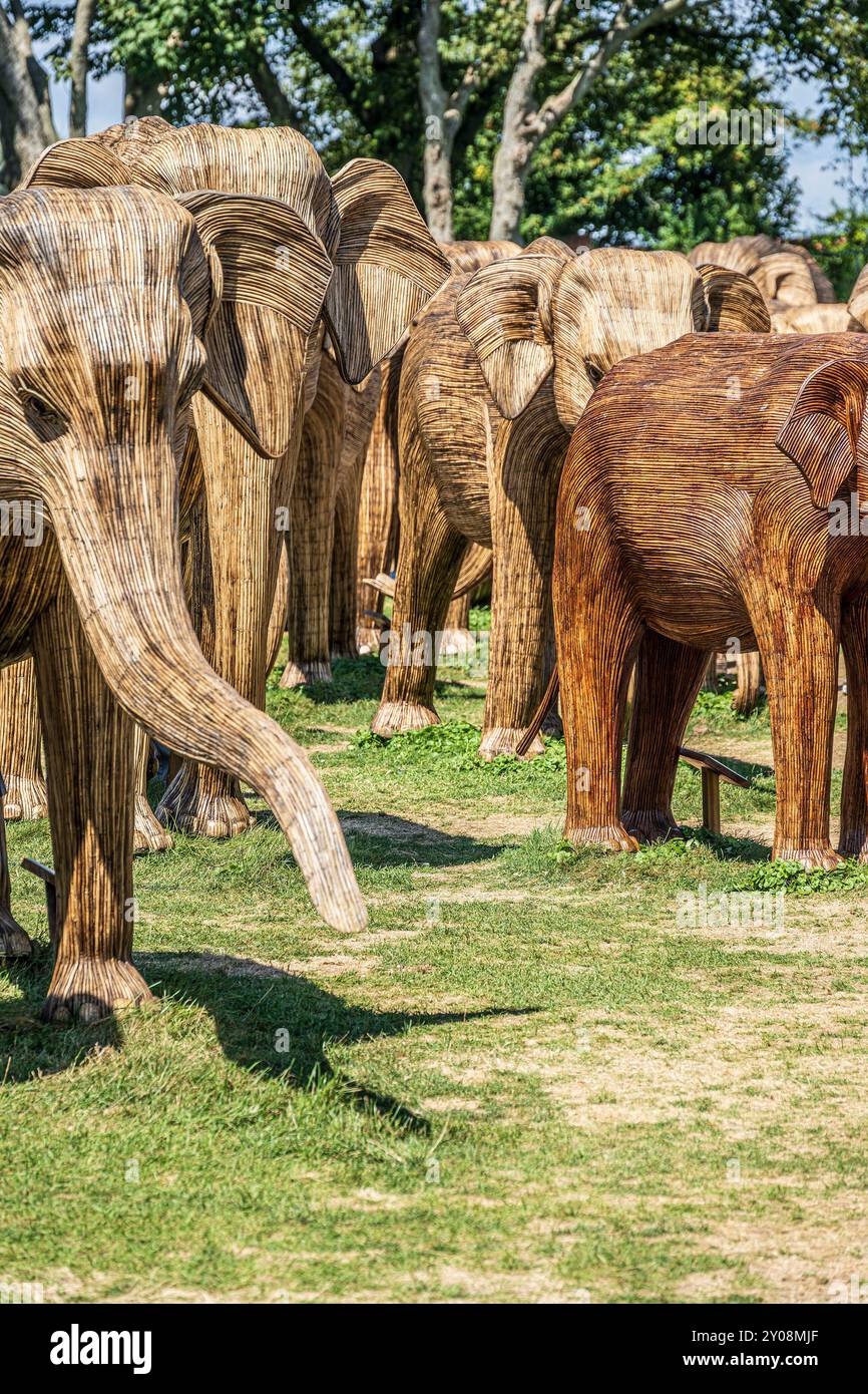The Great Elephant Migration Stock Photo - Alamy