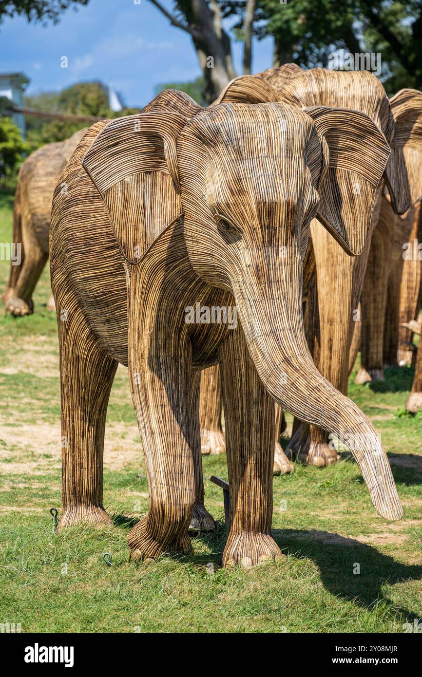 The Great Elephant Migration Stock Photo - Alamy