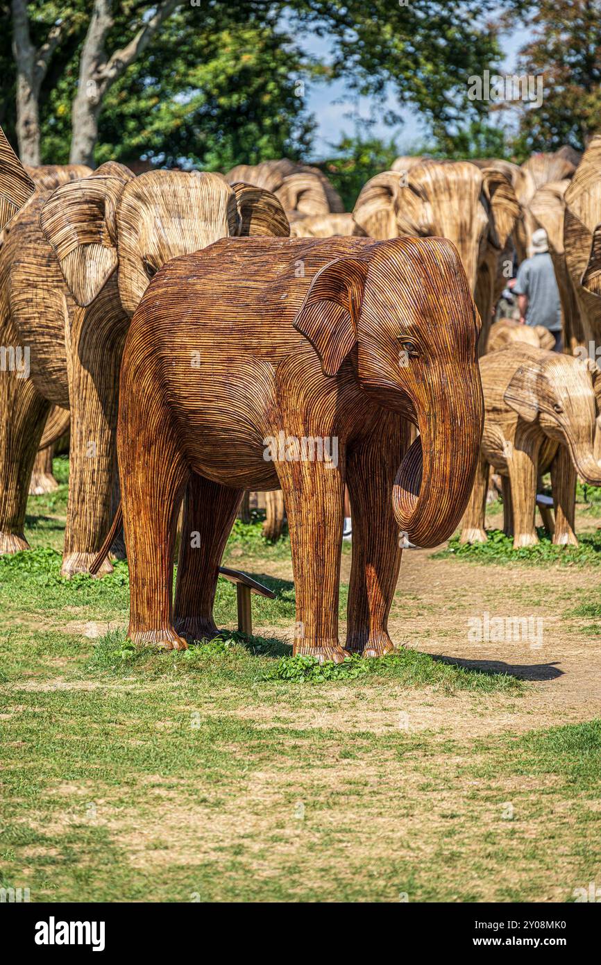 The Great Elephant Migration Stock Photo - Alamy
