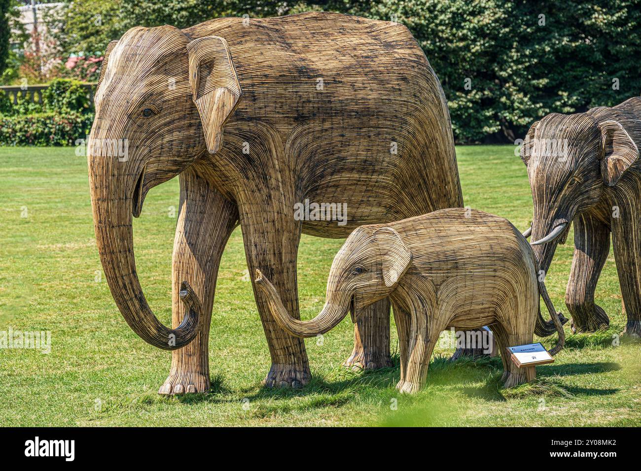 The Great Elephant Migration Stock Photo - Alamy