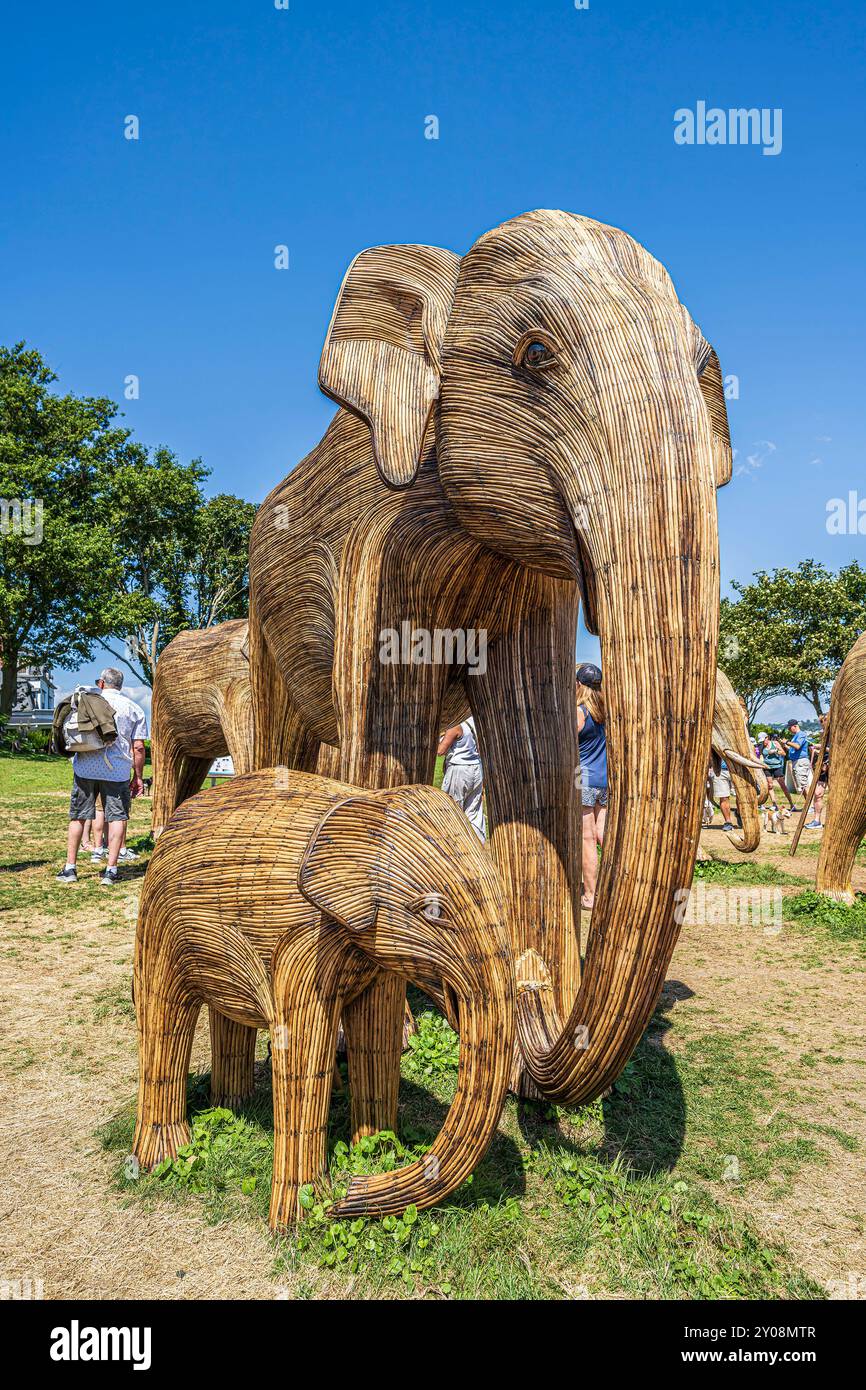 The Great Elephant Migration Stock Photo - Alamy