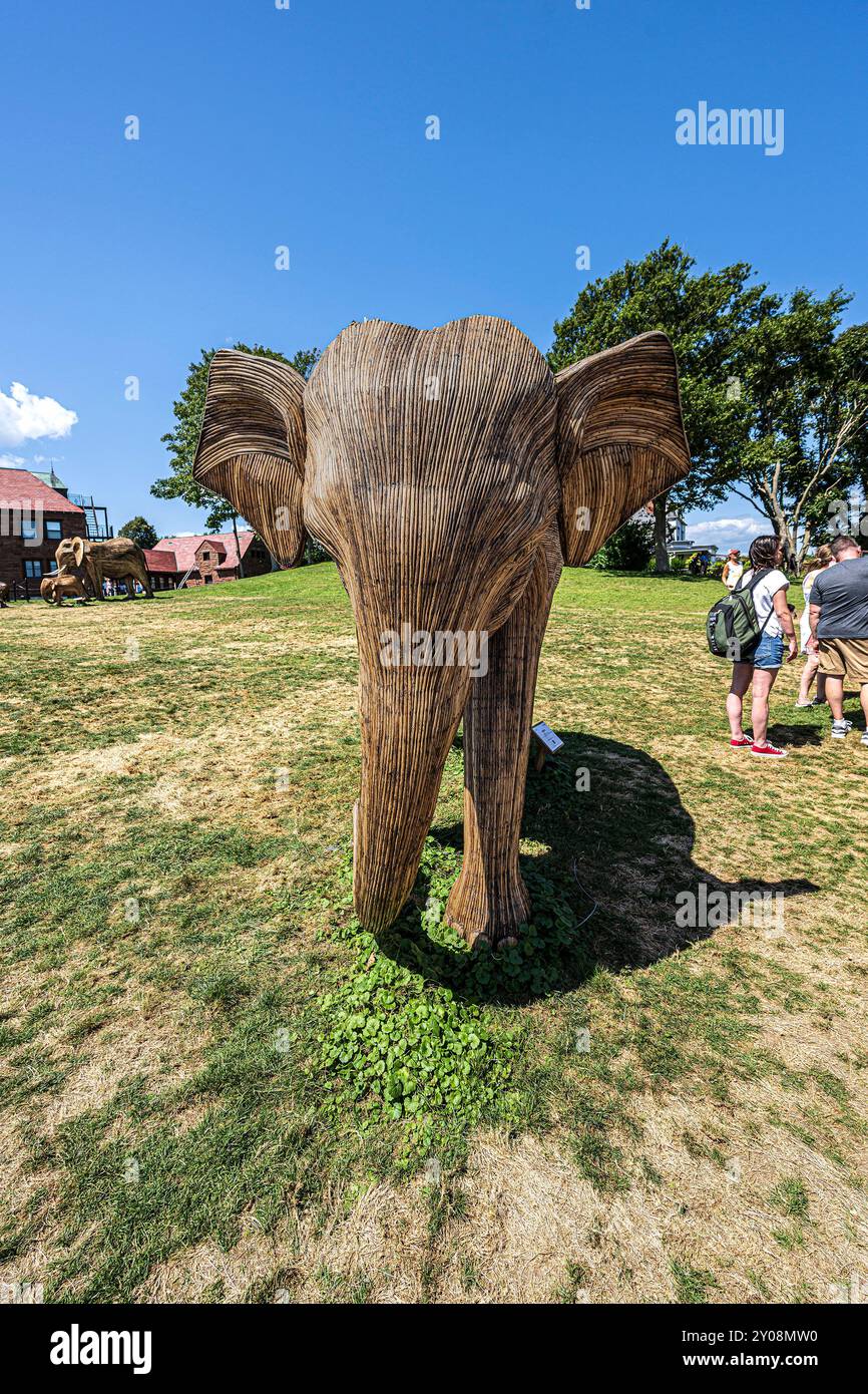 The Great Elephant Migration Stock Photo - Alamy