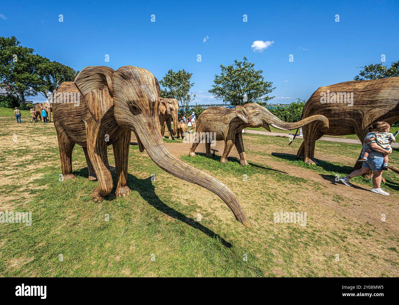 The Great Elephant Migration Stock Photo - Alamy